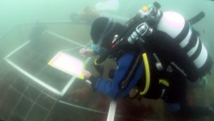 HMS Pomone - Maritime Archaeology Trust