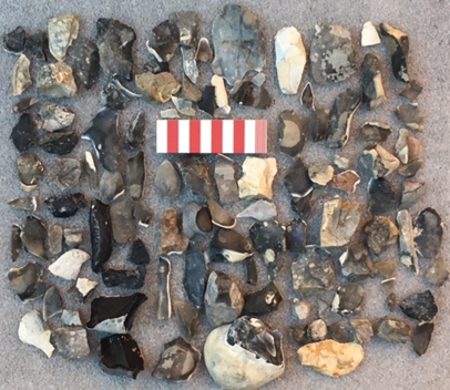 Bouldnor Cliff - Maritime Archaeology Trust