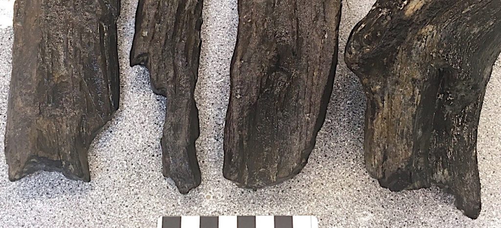 Bouldnor Cliff - Maritime Archaeology Trust
