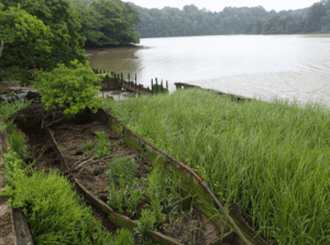 An Introduction to Paddle Steamers - Maritime Archaeology Trust