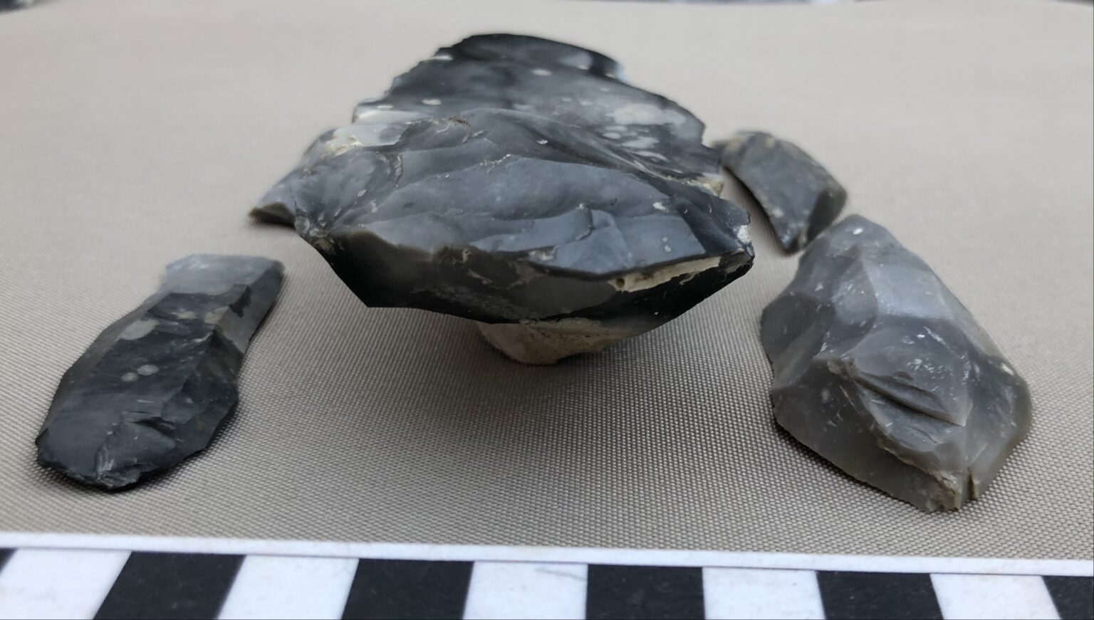 Bouldnor Cliff - Maritime Archaeology Trust