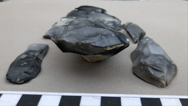 Bouldnor Cliff - Maritime Archaeology Trust