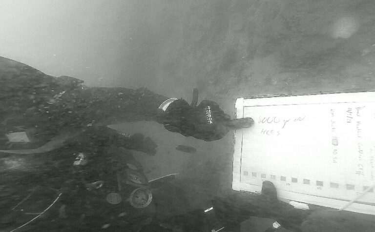 Bouldnor Cliff: A Scuba Diving Volunteer's Story - Maritime Archaeology ...