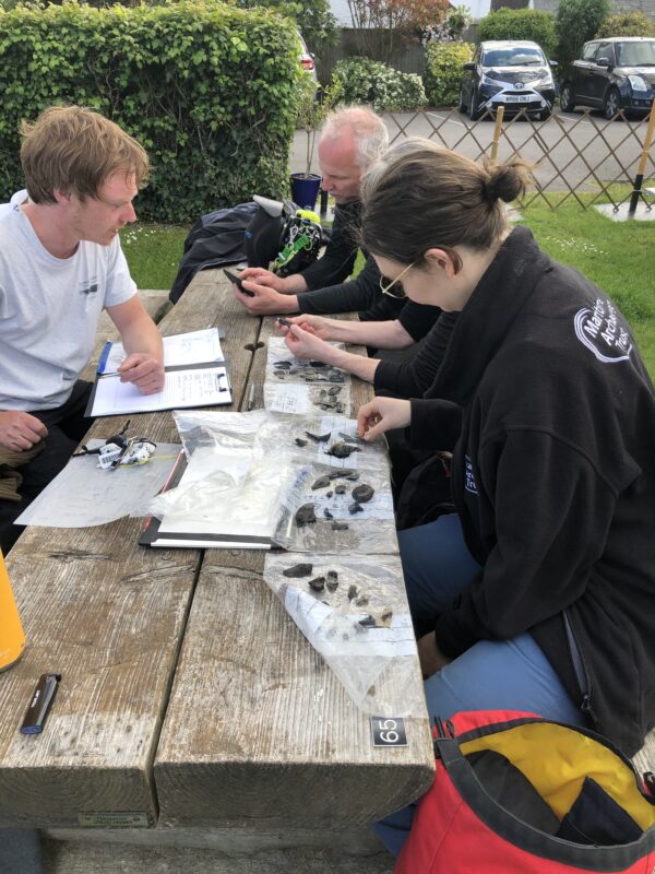 Bouldnor Cliff: A Scuba Diving Volunteer's Story - Maritime Archaeology ...