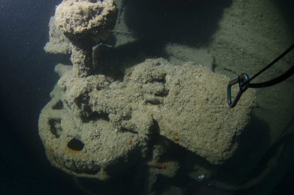 RMS Alaunia - Maritime Archaeology Trust