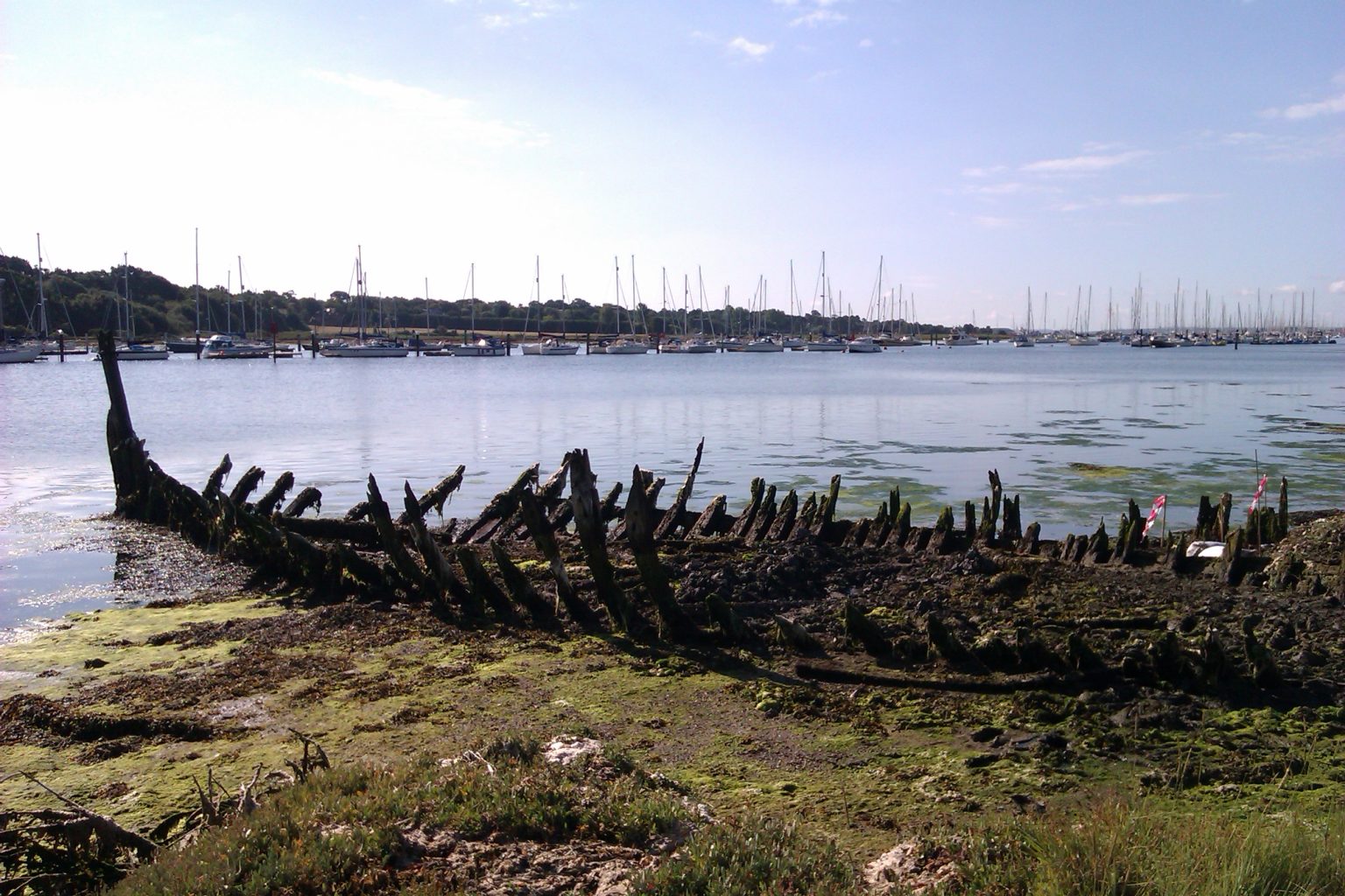 River Hamble Guided Walk - Maritime Archaeology Trust